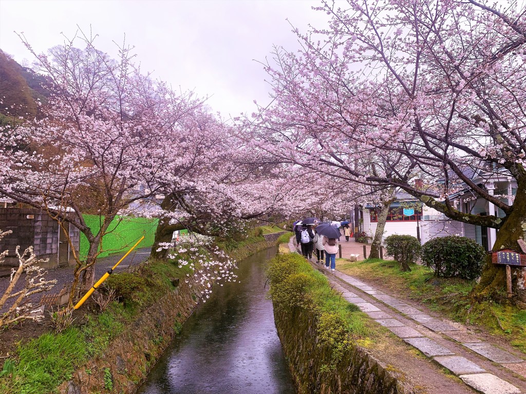 【癒旅遊】每個人都應該有一條「哲學之道」丨飛叔療癒 | 癒報 Healpy Post