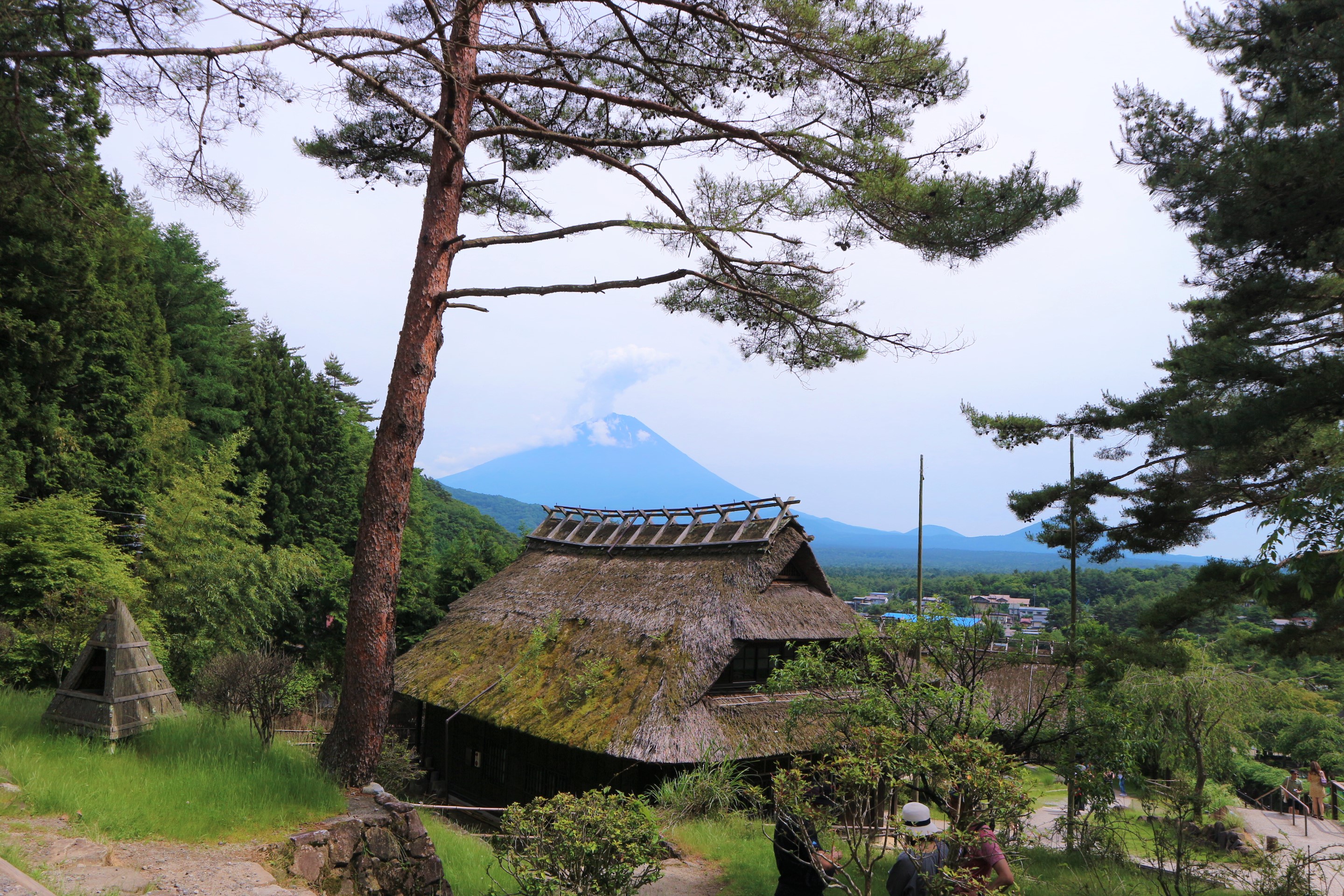 【癒旅遊】富士山西湖療癒之鄉根場丨飛叔療癒 | 癒報 Healpy Post