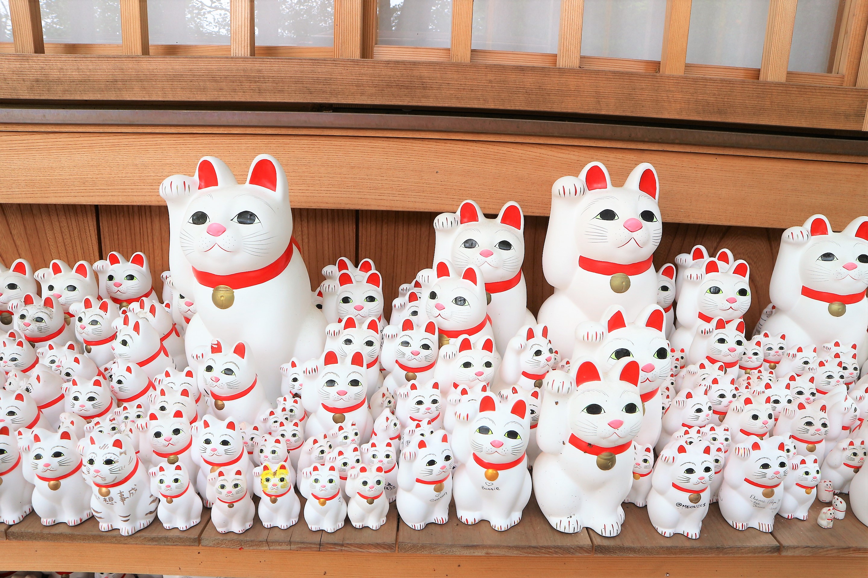 豪德寺的招財貓景點：東京必訪的療癒之地 | 癒報 Healpy Post