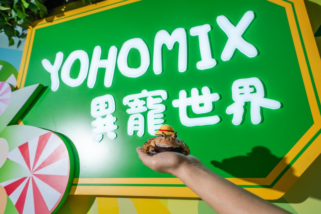 【生活】元朗新商場YOHO MIX元點及YOHO PLUS加點開幕丨兩棲爬蟲主題活動丨台灣插畫家原創充氣裝置 | 癒報 Healpy Post