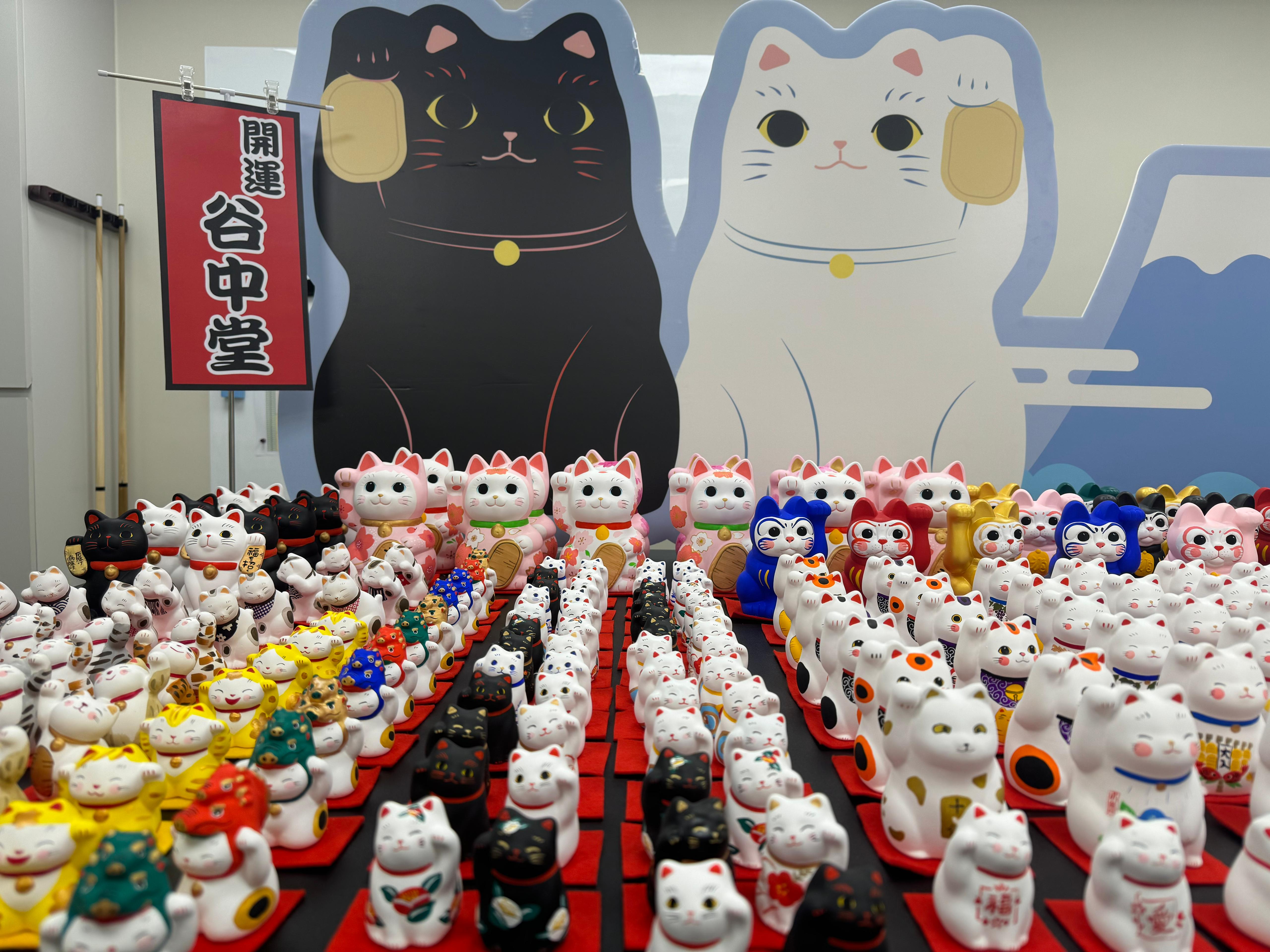 【生活】香港貓迷博覽會2024丨400多個展位的大型貓文化盛會 | 癒報 Healpy Post