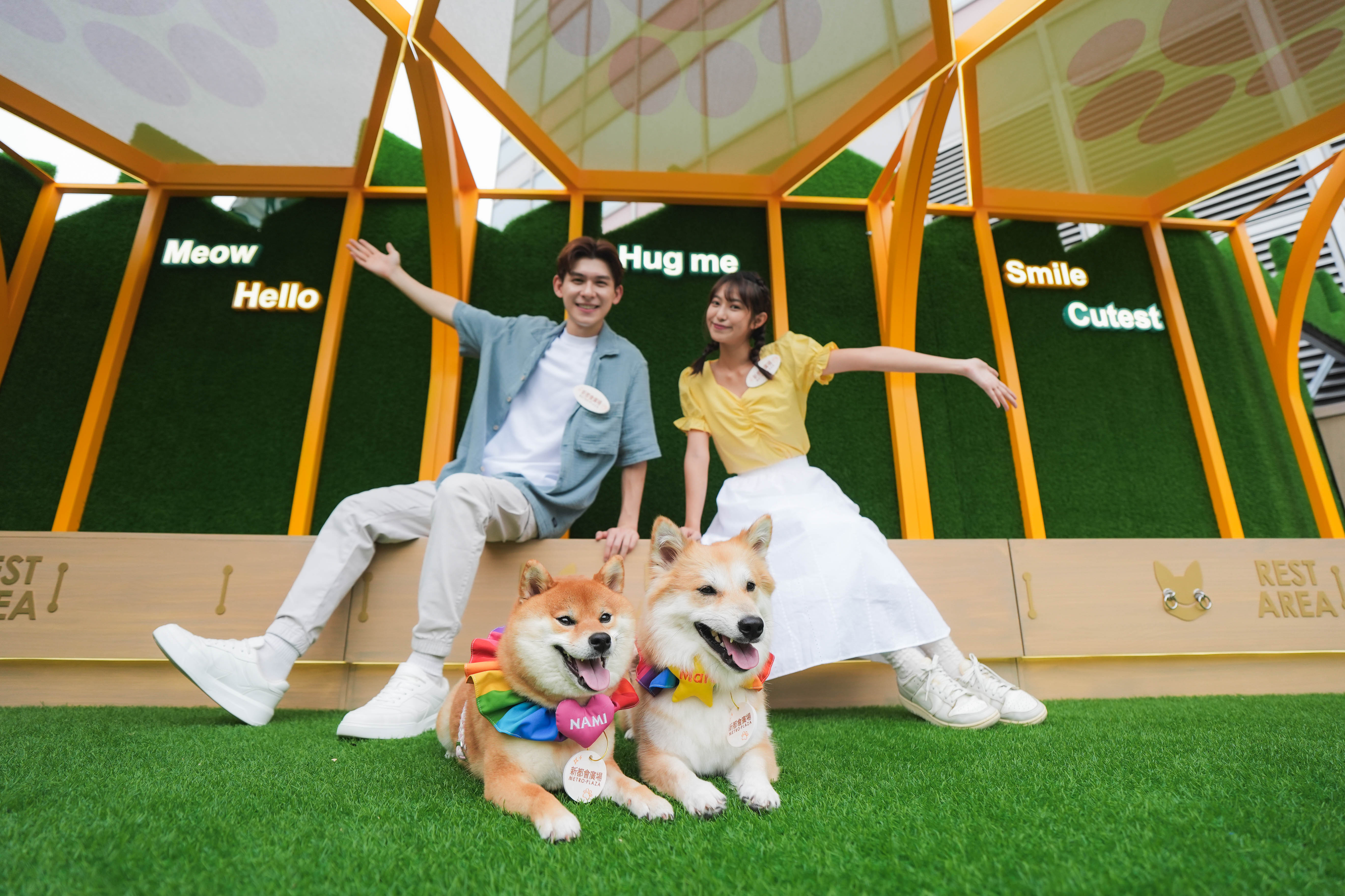 【生活】新都會廣場寵物公園Pet Park開幕丨頭炮周末泡泡狂歡派對 | 癒報 Healpy Post